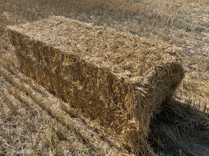 Halm i fyrkantsbal :: Bergagard